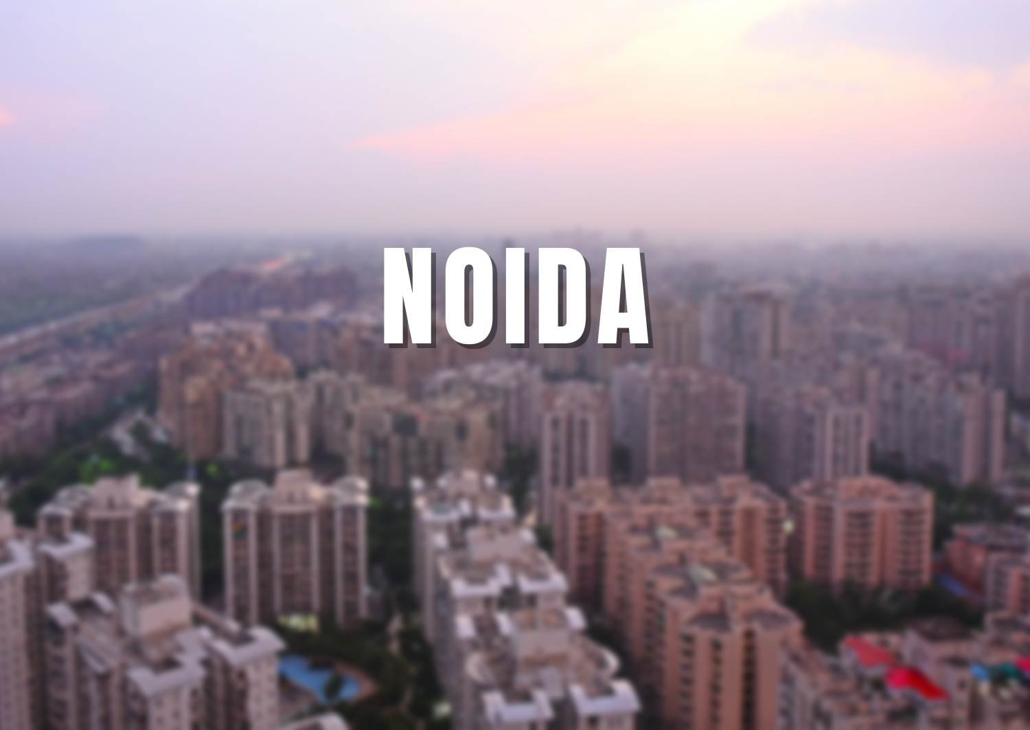 The Calligraphy Foundation – Official Website